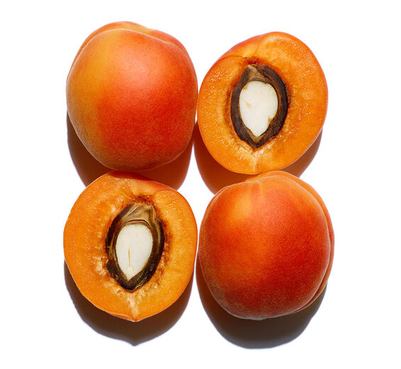 Apricot skincare benefits | Discover Clarins Ingredient Library | CLARINS® Apricot skincare benefits | Discover Clarins Ingredient Library | CLARINS®