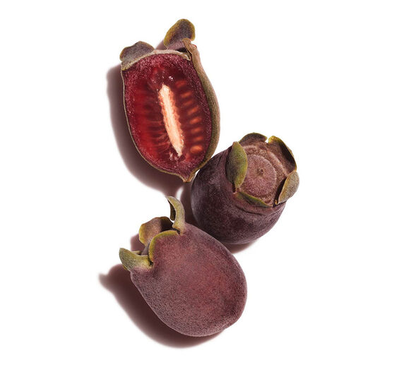 Rose-myrtle skincare benefits | Discover Clarins Ingredient Library ...