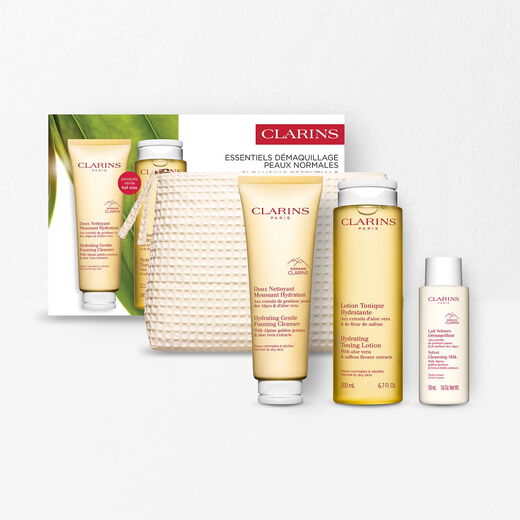 clarins gift set