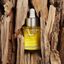 Santal Face Treatment Oil for Dry Skin | CLARINS®