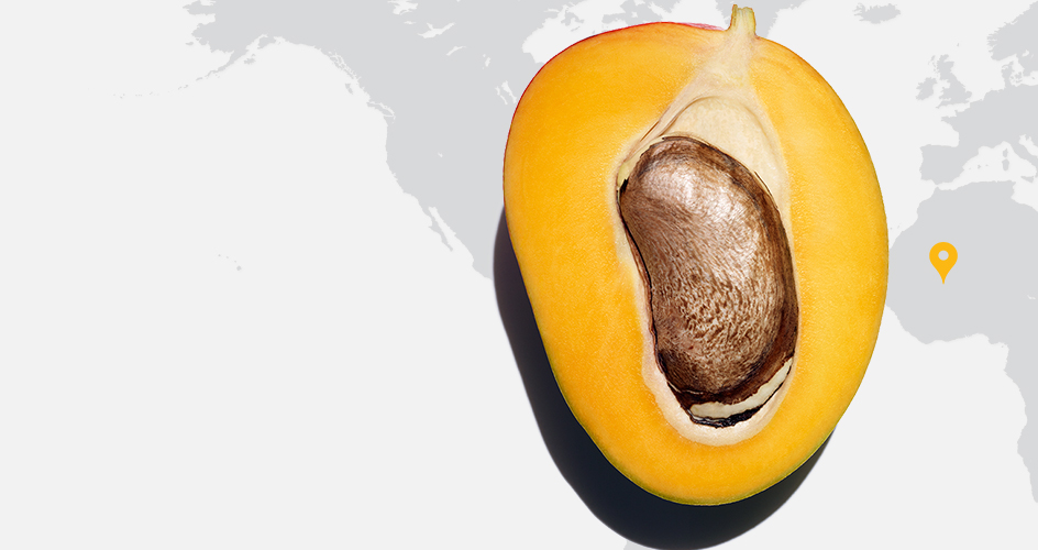 Wild Mango - Clarins