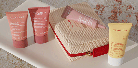 clarins gift set